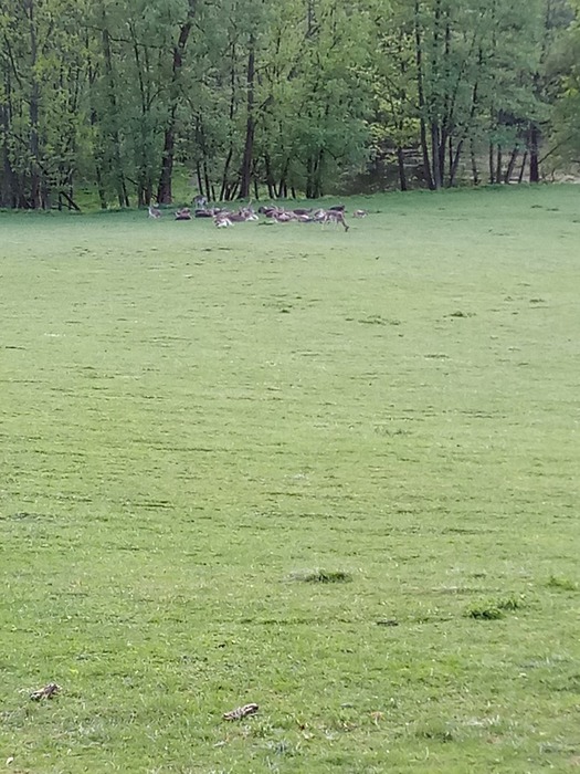 Fotogalerie :: Tafer